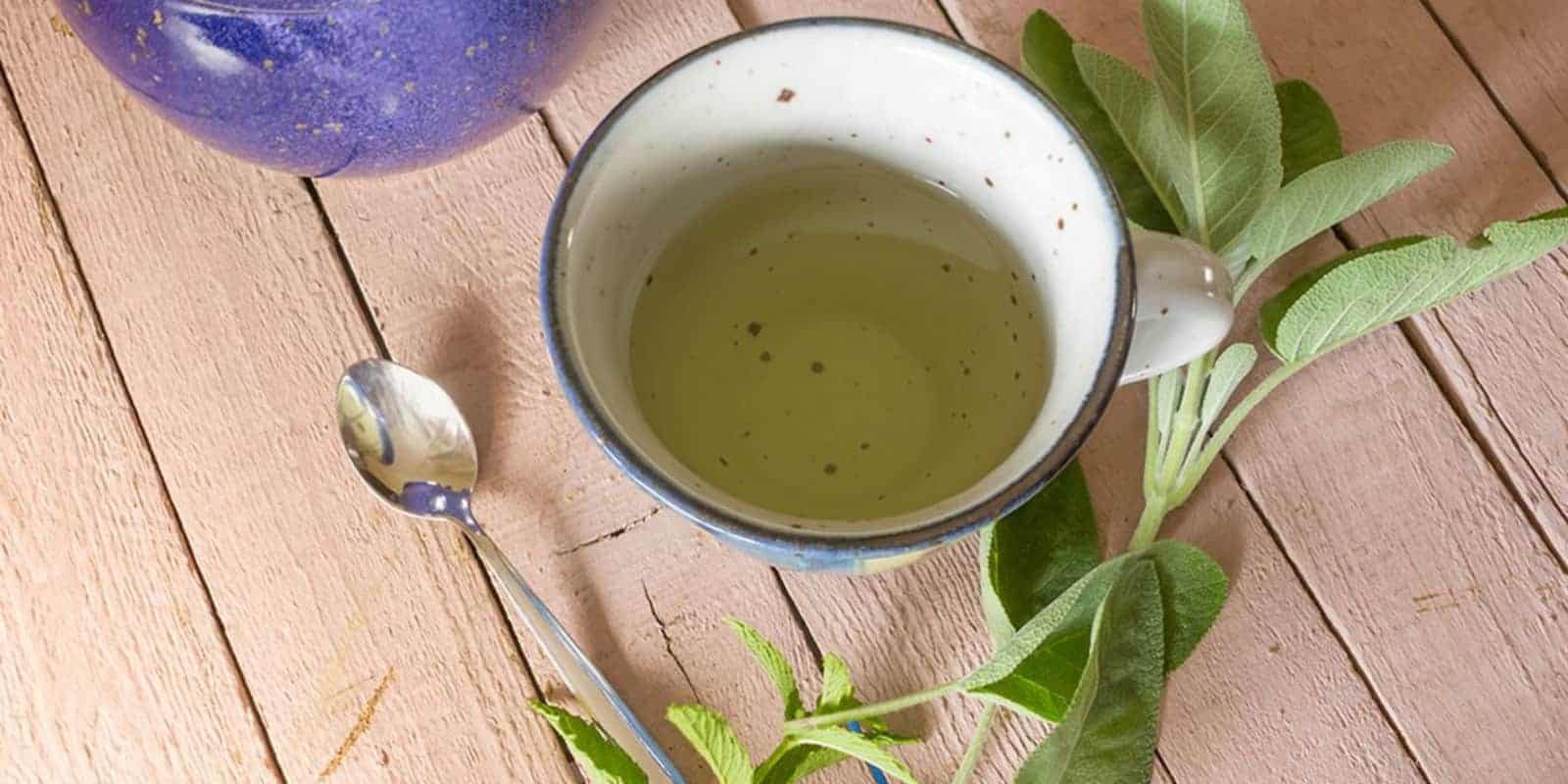7 Evidence-Based Benefits of Drinking Sage Tea