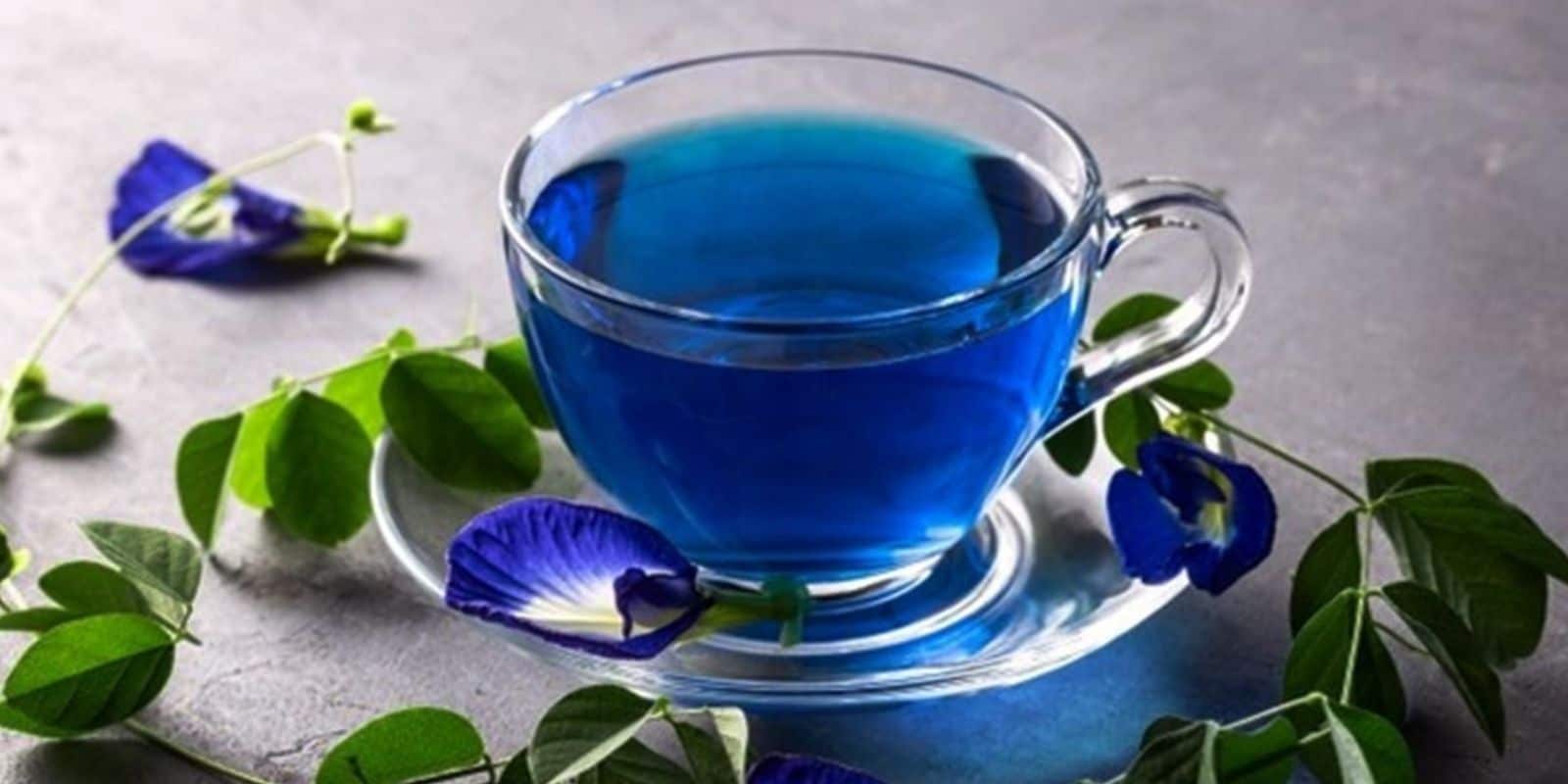 5 Unique Facts About the Color-Changing Tea Butterfly Pea