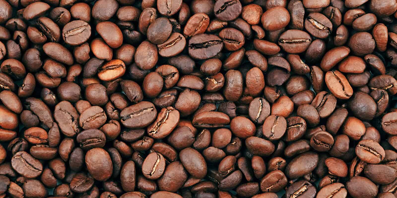 Best Coffee Scoops for Precise Grounds Measurement