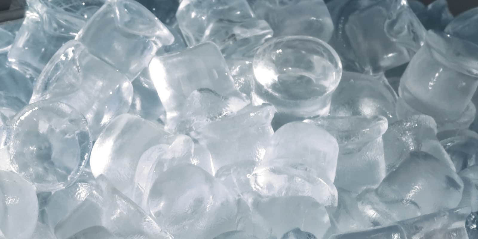 Ice Maker Guide: Benefits and 4 Main Types