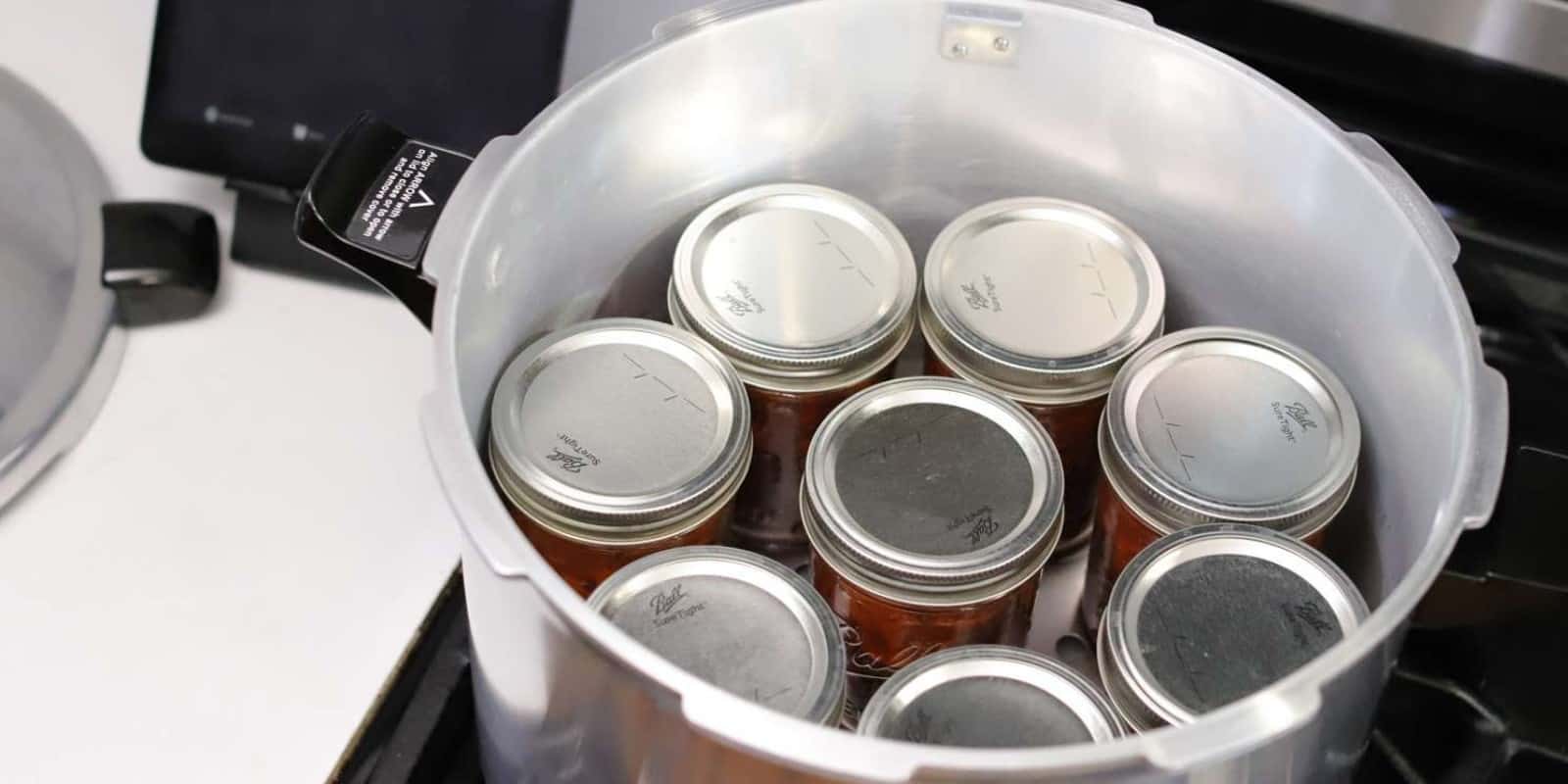 5 Best Commercial Pressure Canner Cookers