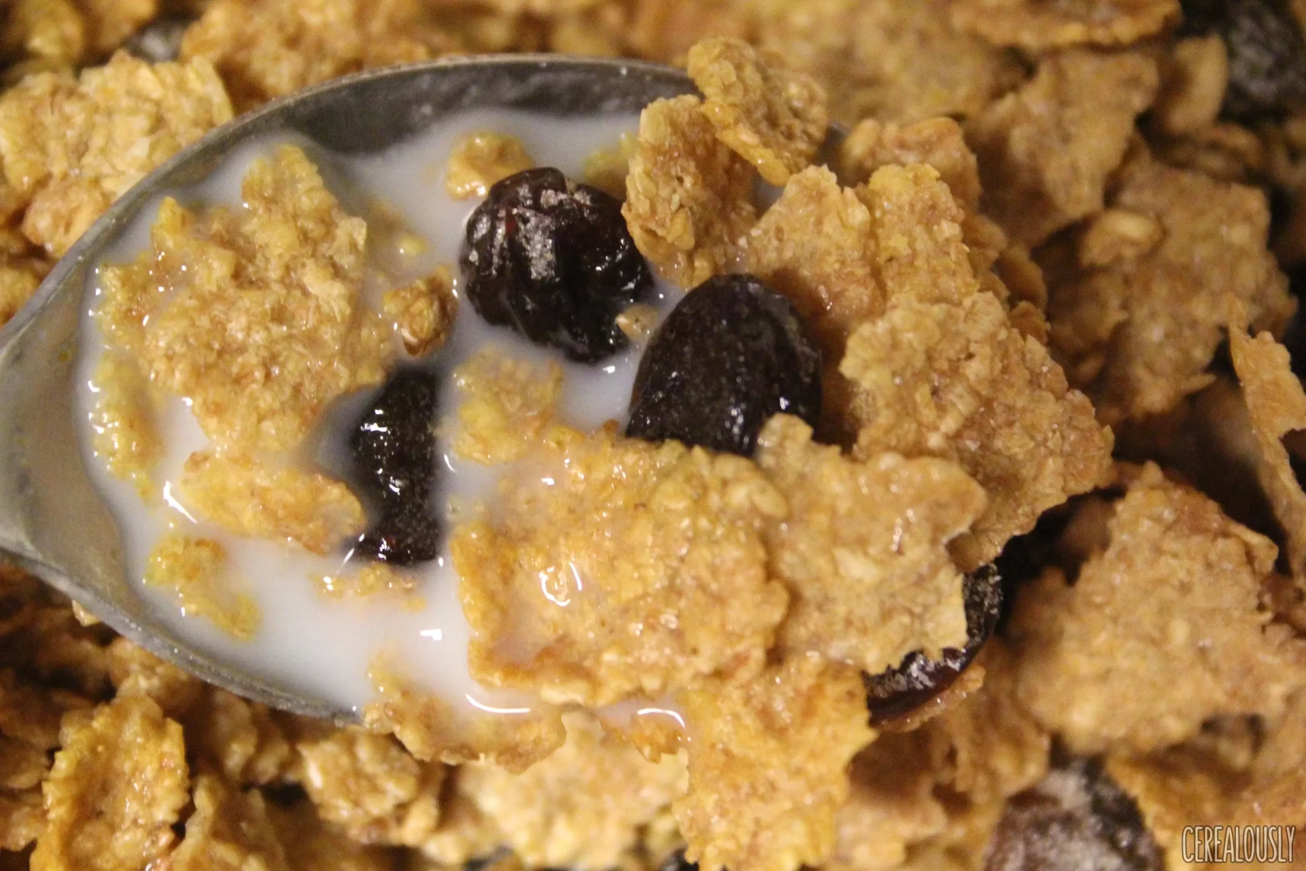 Raisin Bran Without Added Sugar: Pure Goodness