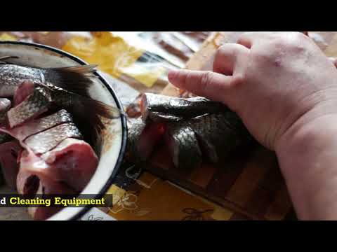 How to Gut a Fish Like a Pro: A Step-By-Step Guide