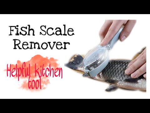Fish Scaler Definition and Usage