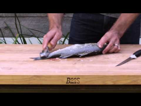 How to Scale Fish in 7 Easy Steps