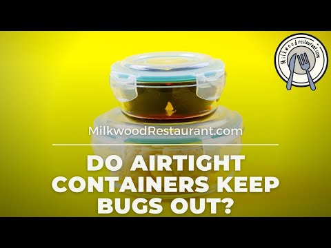 Bug-Proof Storage: Airtight Containers Explained