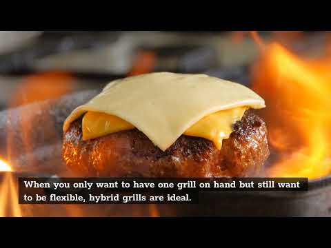 Hybrid Grill Haven: Explore the Best Options