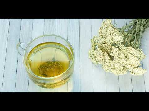 Yarrow Tea Wonders: 5 Benefits Unveiled