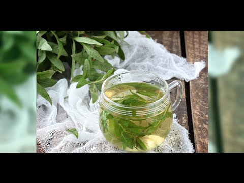 6 Amazing Benefits of Soothing Lemon Verbena Tea