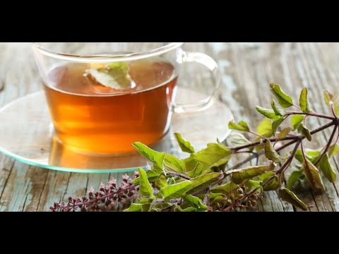 3 Must-Know Facts About the Health Benefits of Tulsi Tea