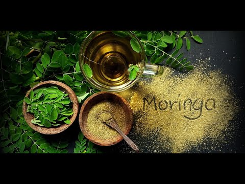3 Science-Backed Health Benefits of Moringa Tea